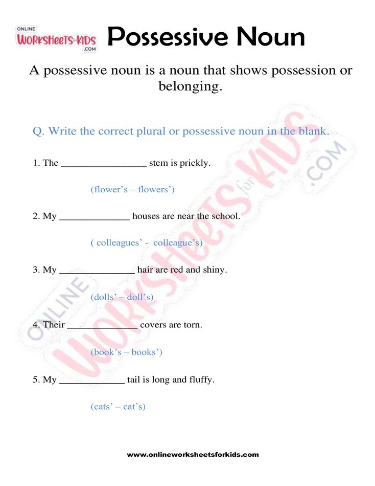 Singular Possessive Noun Worksheets 3rd Grade English Language: