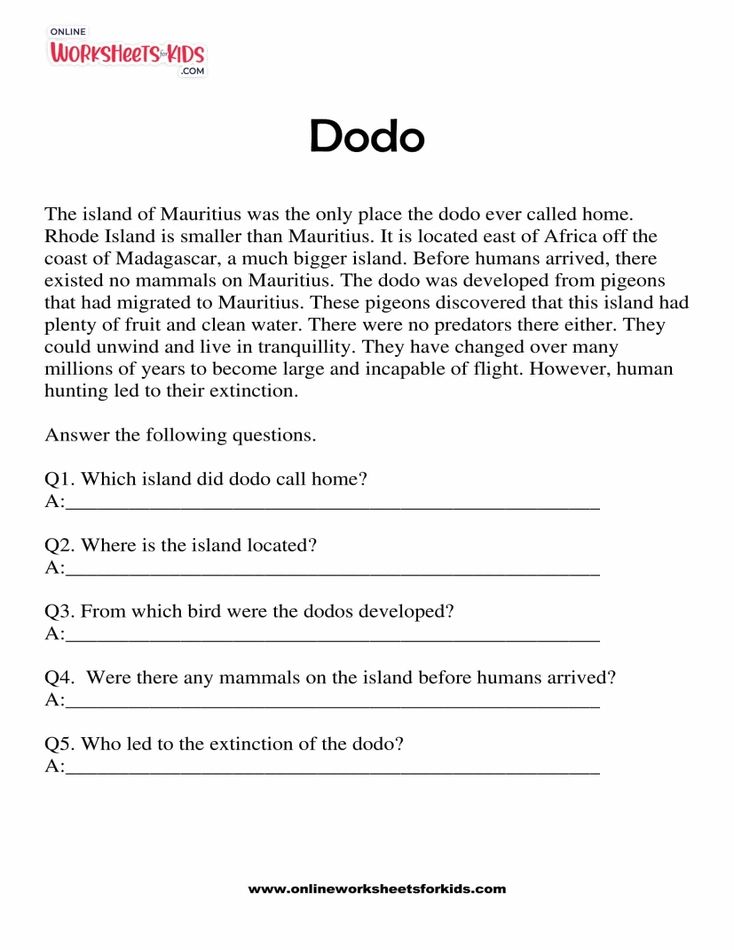 Nonfiction Reading Comprehension Worksheets Grade 2 Reading