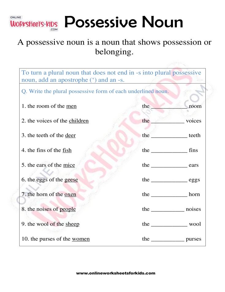 Singular Plural Possessive Noun Worksheet Writing Plural Nouns