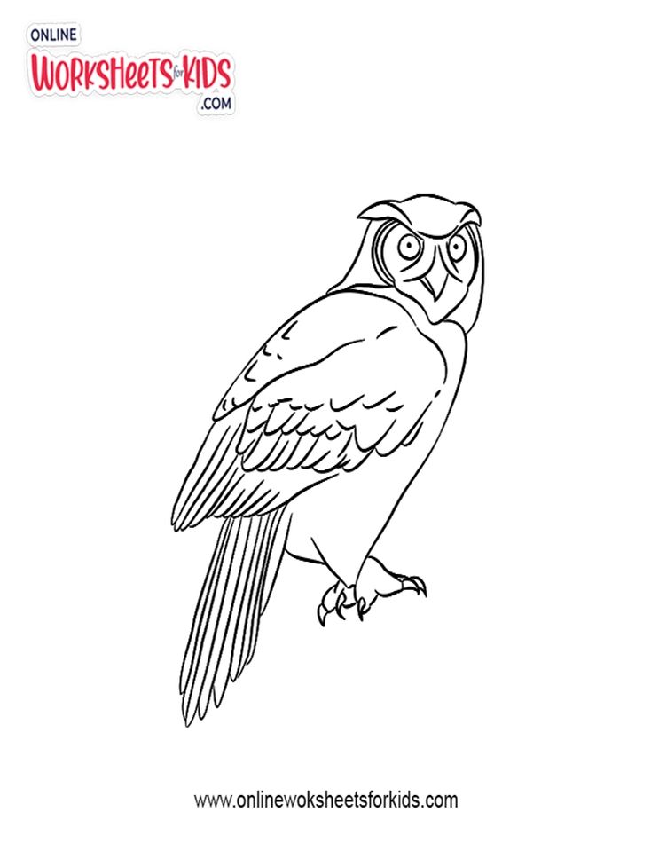 Owl Coloring