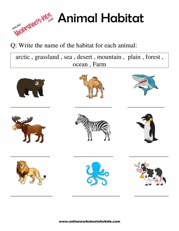 Animal Habitat Worksheets For First Grade