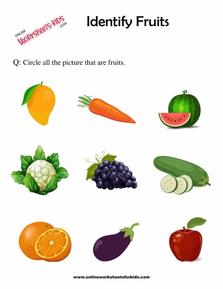 Identifying Fruits And Vegetables Worksheet Printable Matching