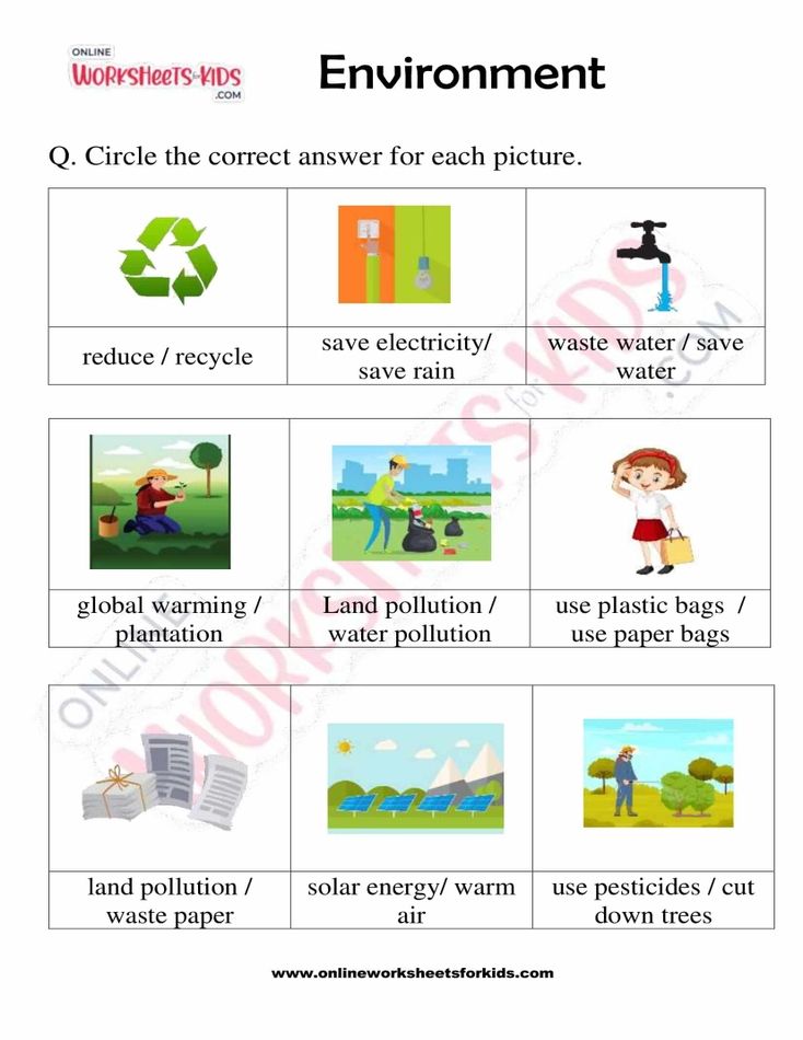 Ecosystem Worksheets For Elementary Students Shrubland Ecosystem