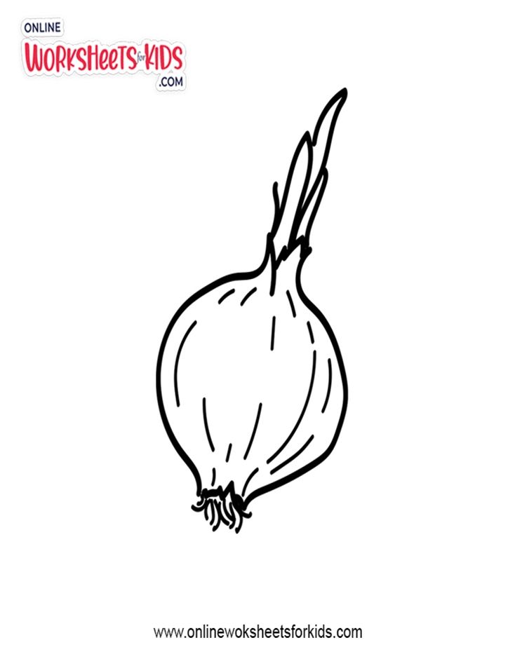 Onion Outline Coloring Page Free Printable Coloring Pages