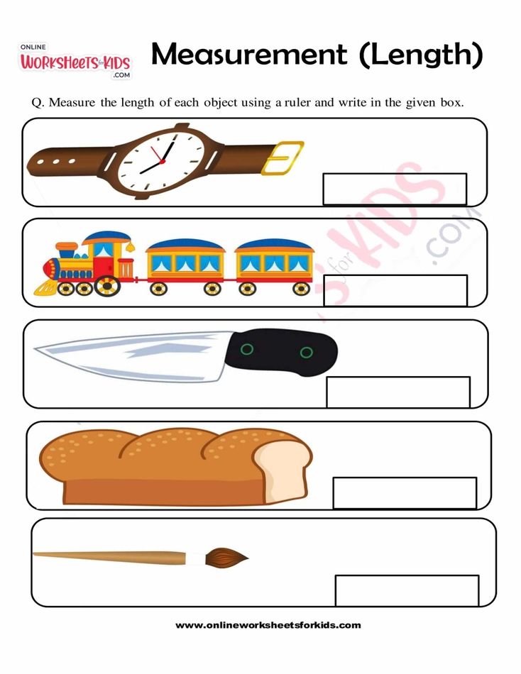 Measure Worksheets For Kids
