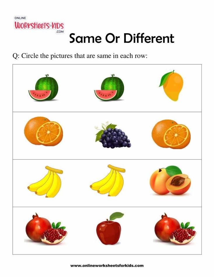 Same Or Different 1