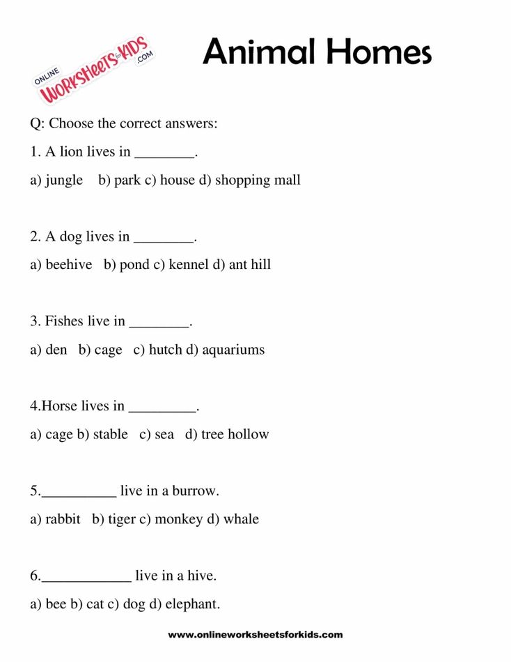 8 Best Images Of Animal Homes Worksheet Kindergarten