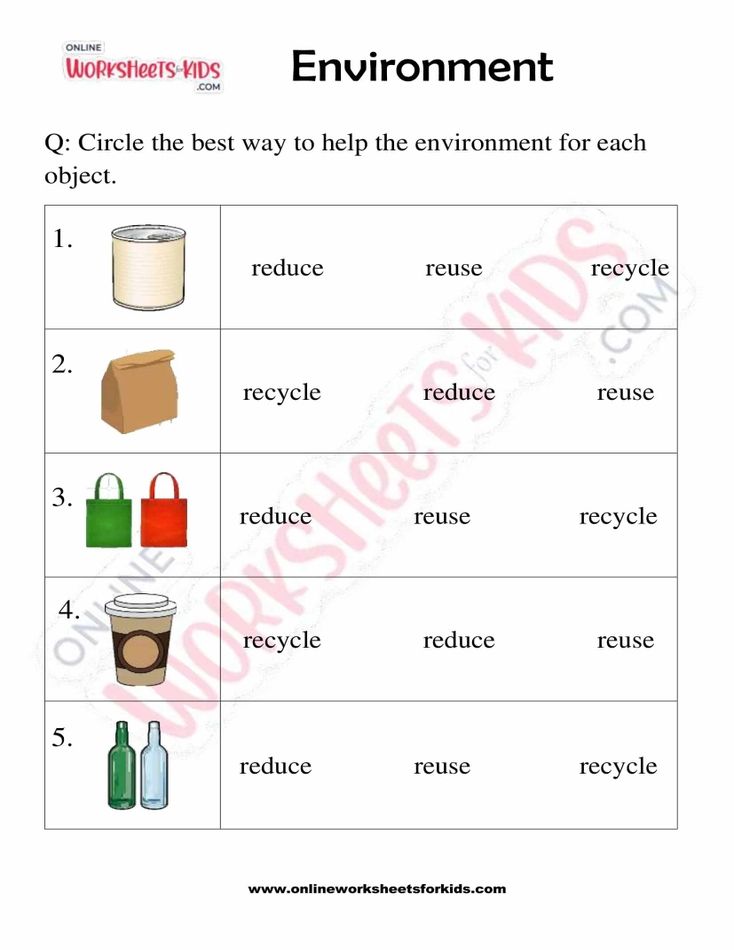 Ecosystem Worksheets For Elementary Students Shrubland Ecosystem