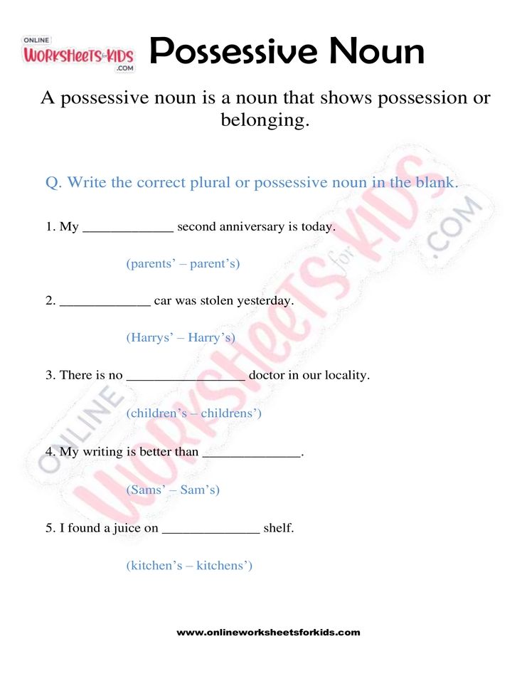 Possessive Nouns Printable Worksheets Focus On Possessive Nouns The