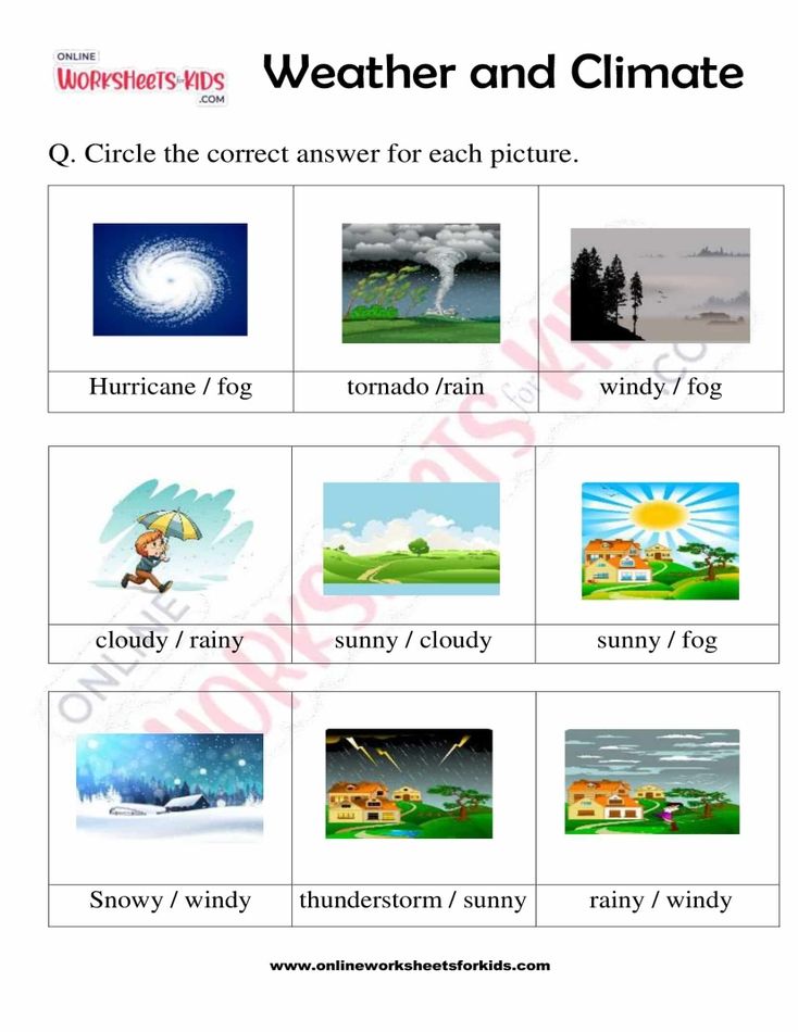2nd Grade Weather Worksheets