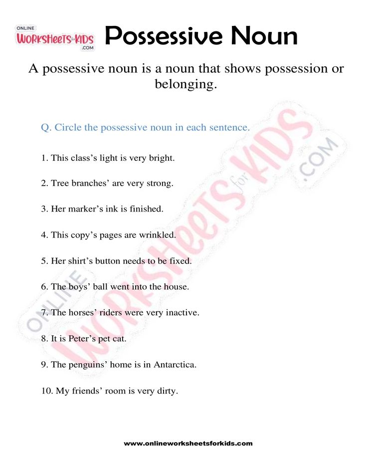 Third Grade Possessive Noun Worksheets Possessive Noun Worksheets