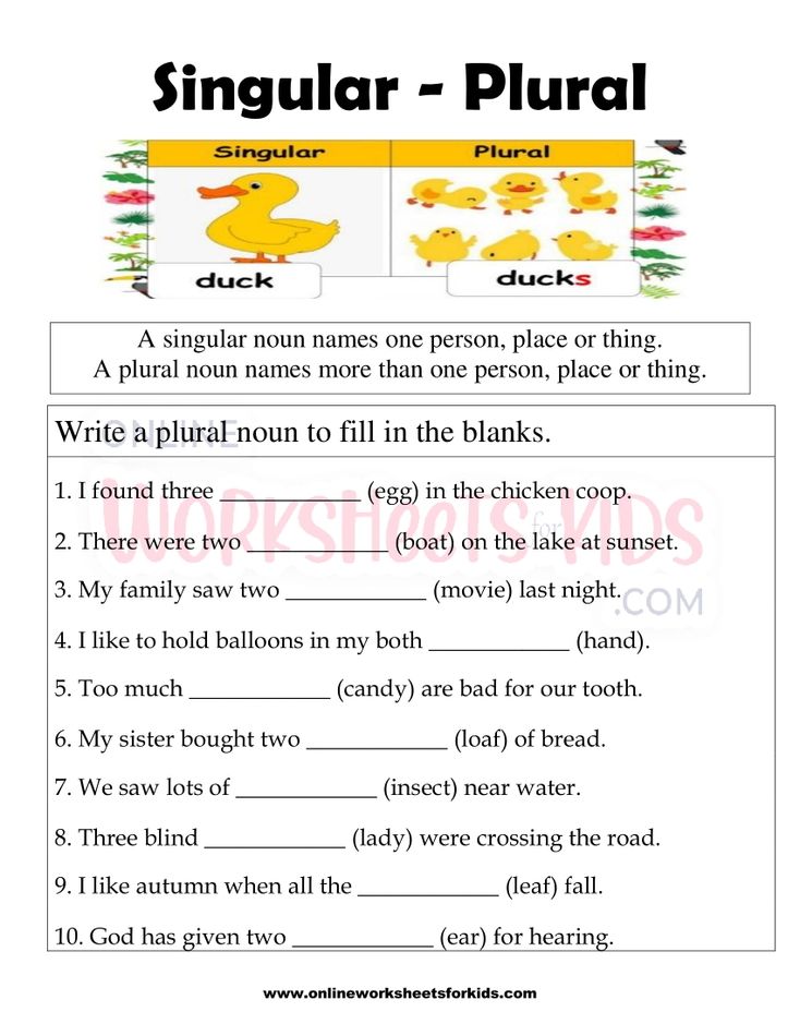 2nd Grade Singular And Plural Nouns Worksheet