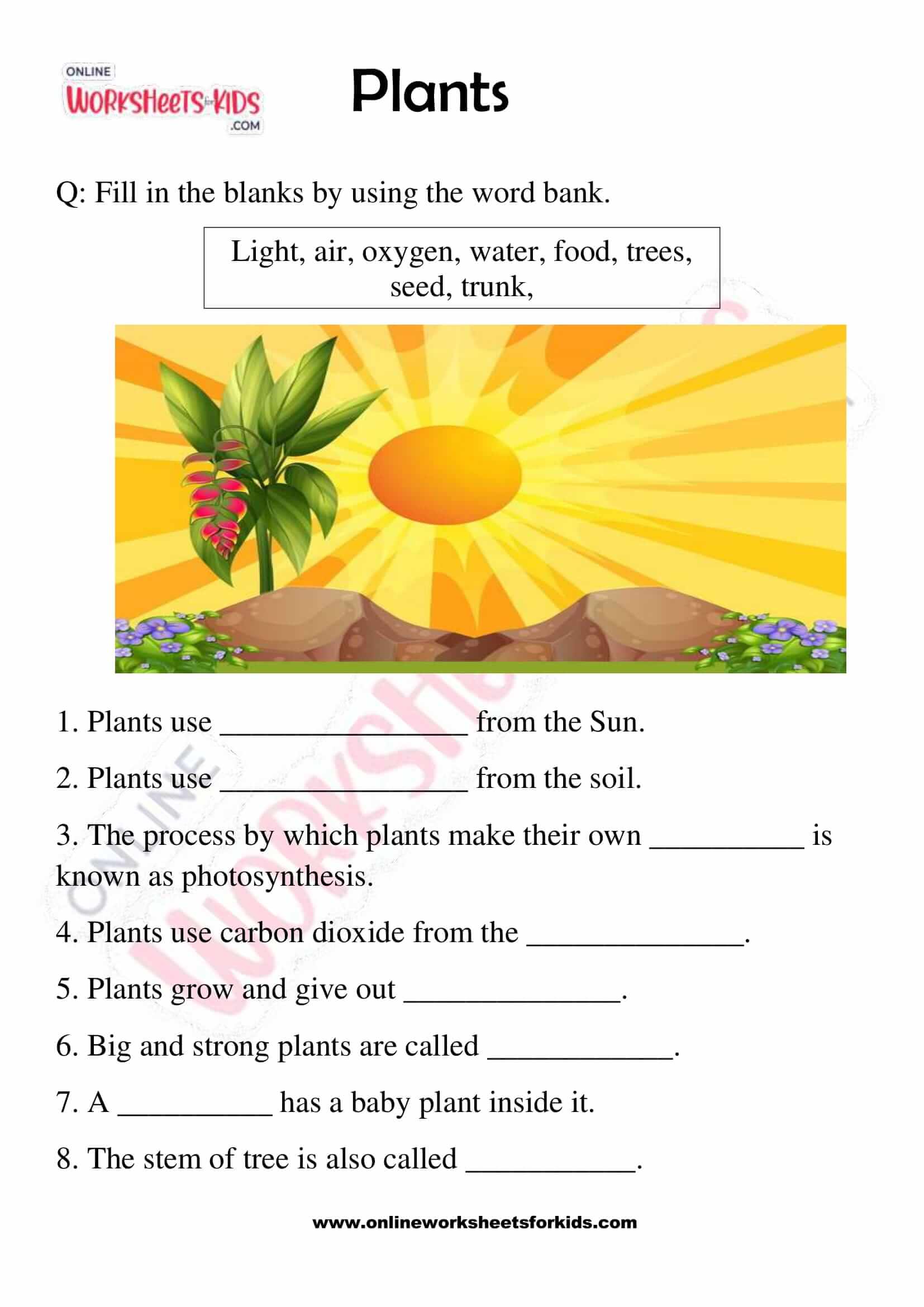 plants-03