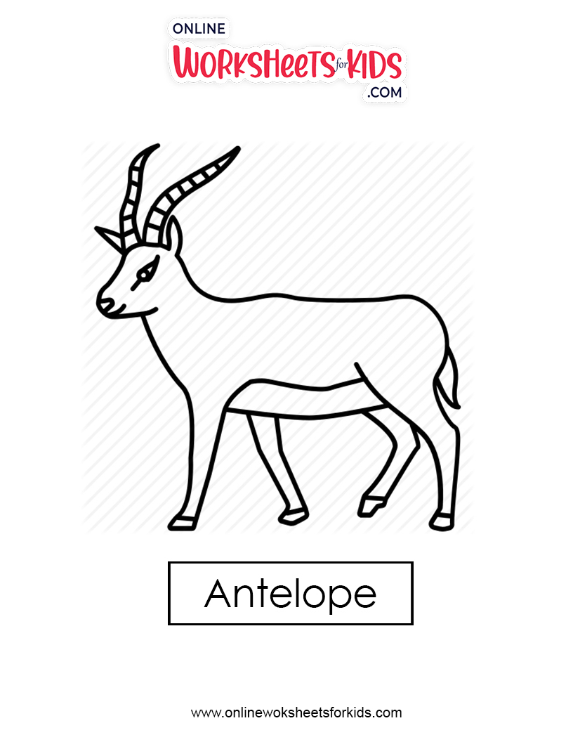 Antelope Drawing For Kids