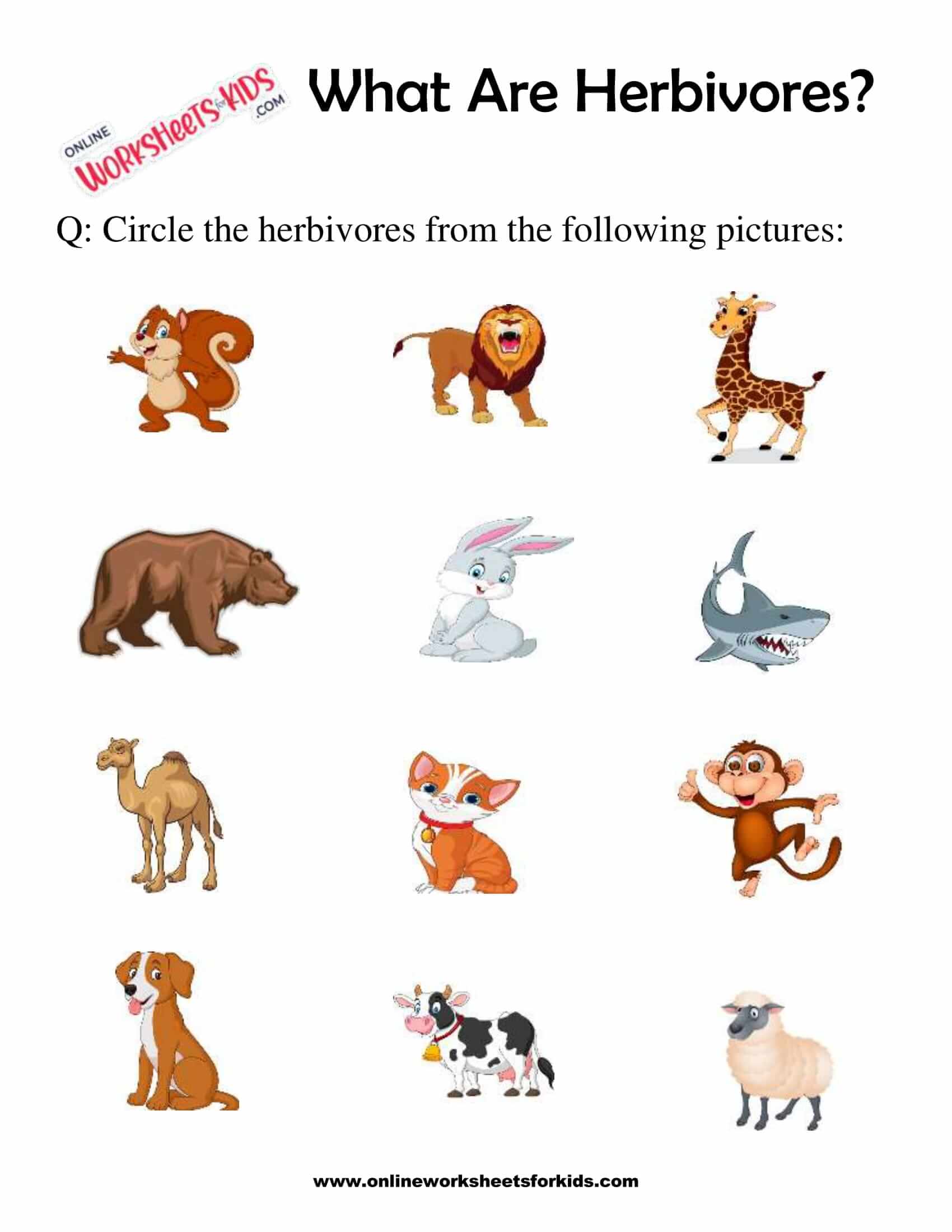 what-are-herbivores-worksheets-for-1st-grade-3