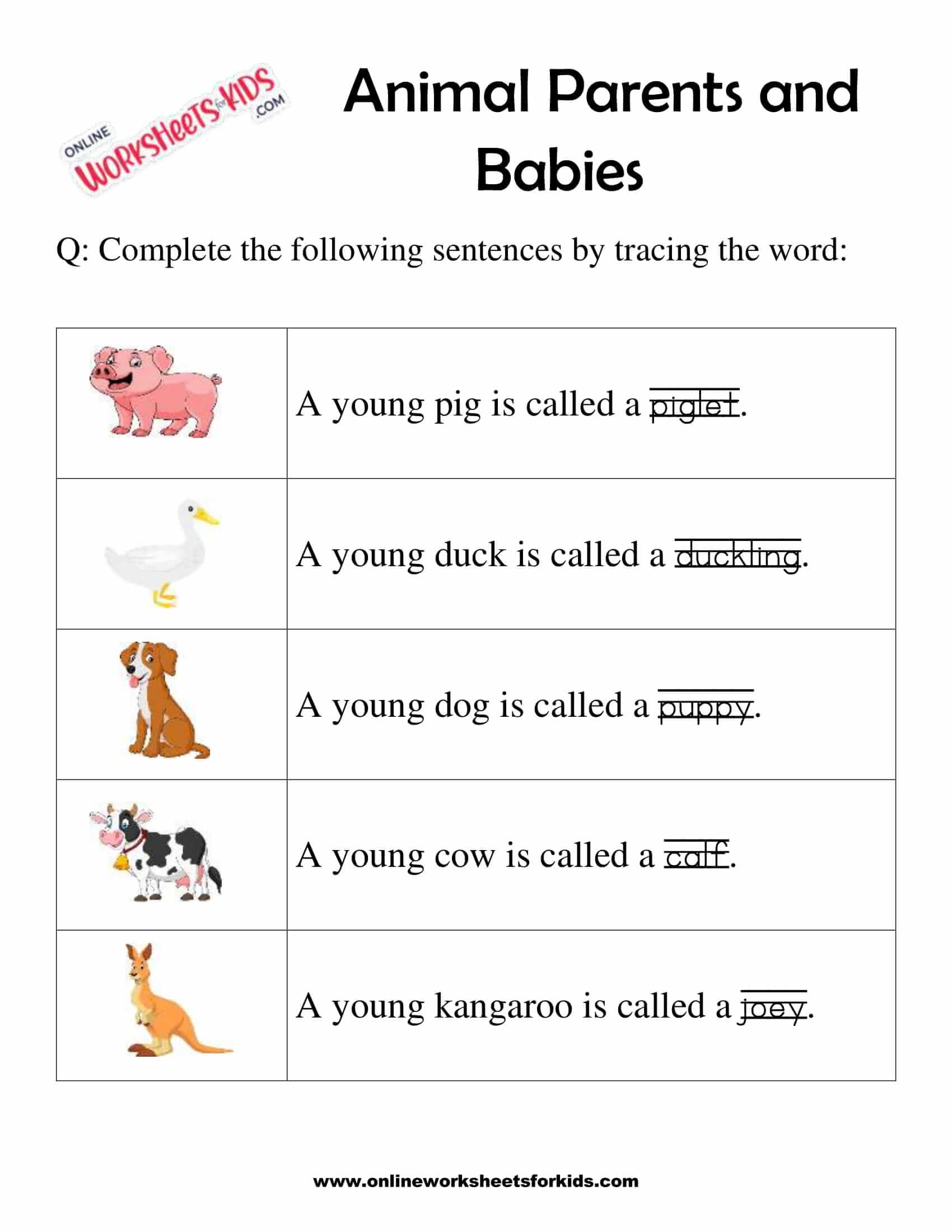 Animal Parents and Babies 4