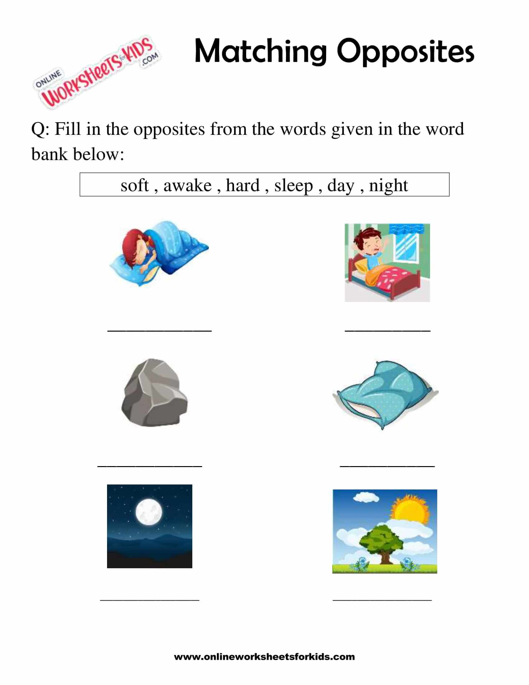 Soft And Hard Objects Worksheets