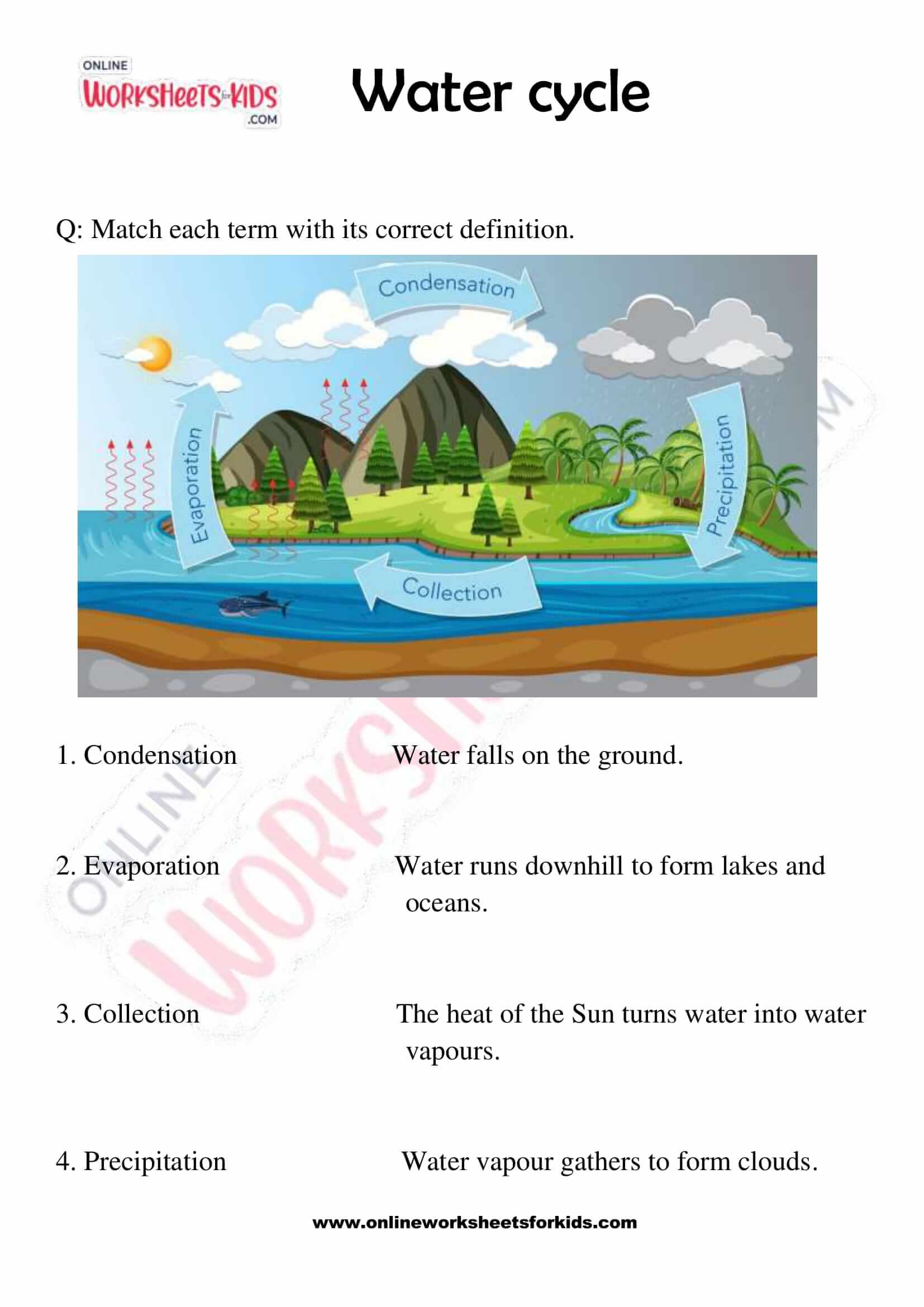 Water Cycle For Kids