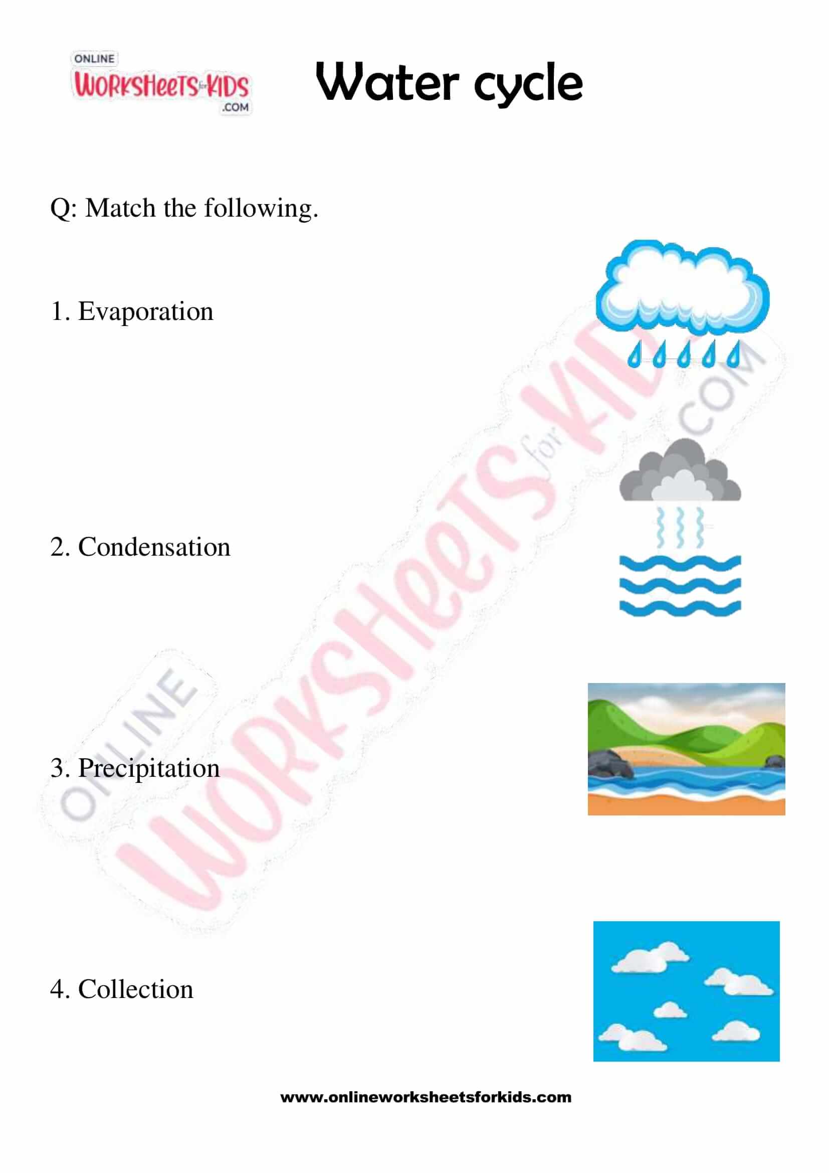 Water Cycle For Kids Worksheets