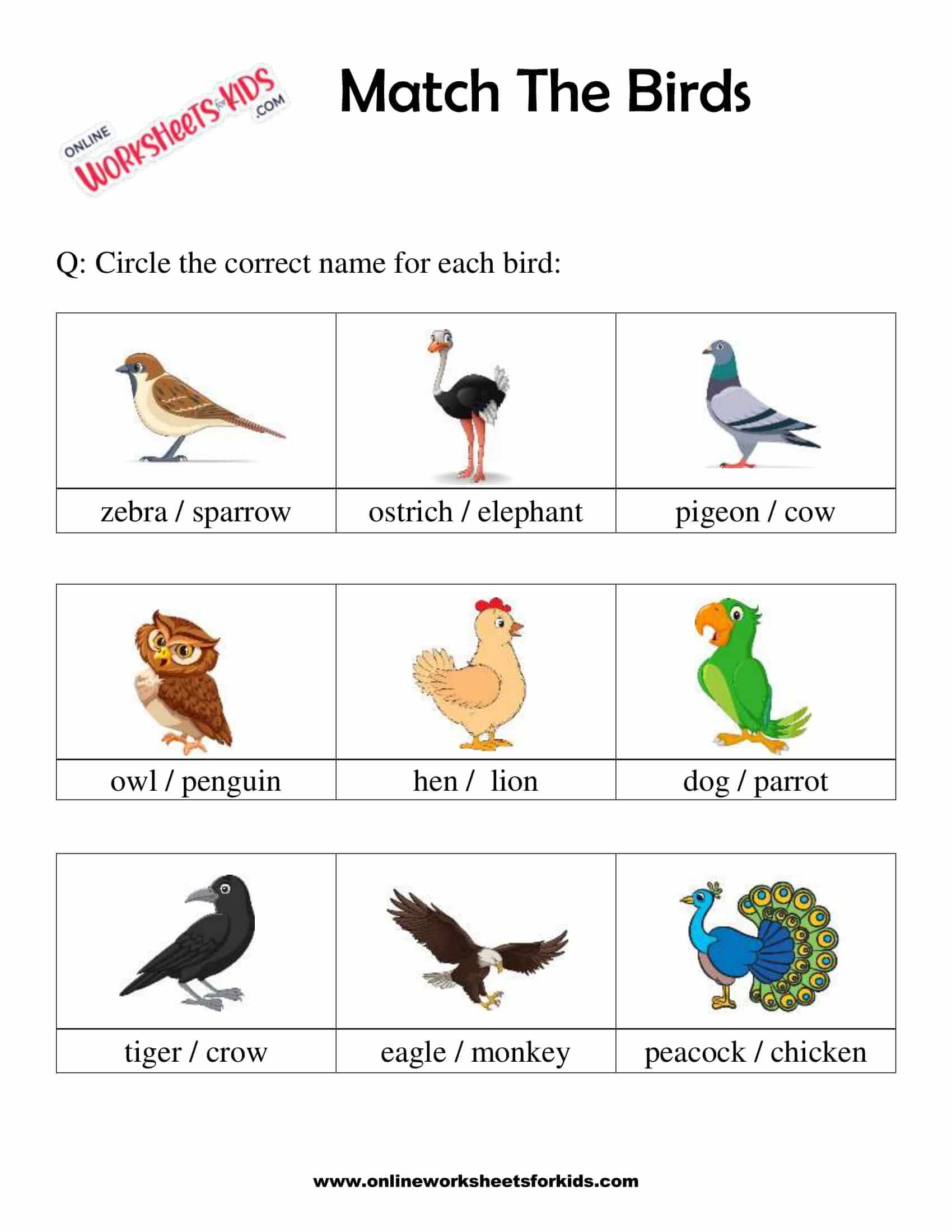 Match The Birds 1